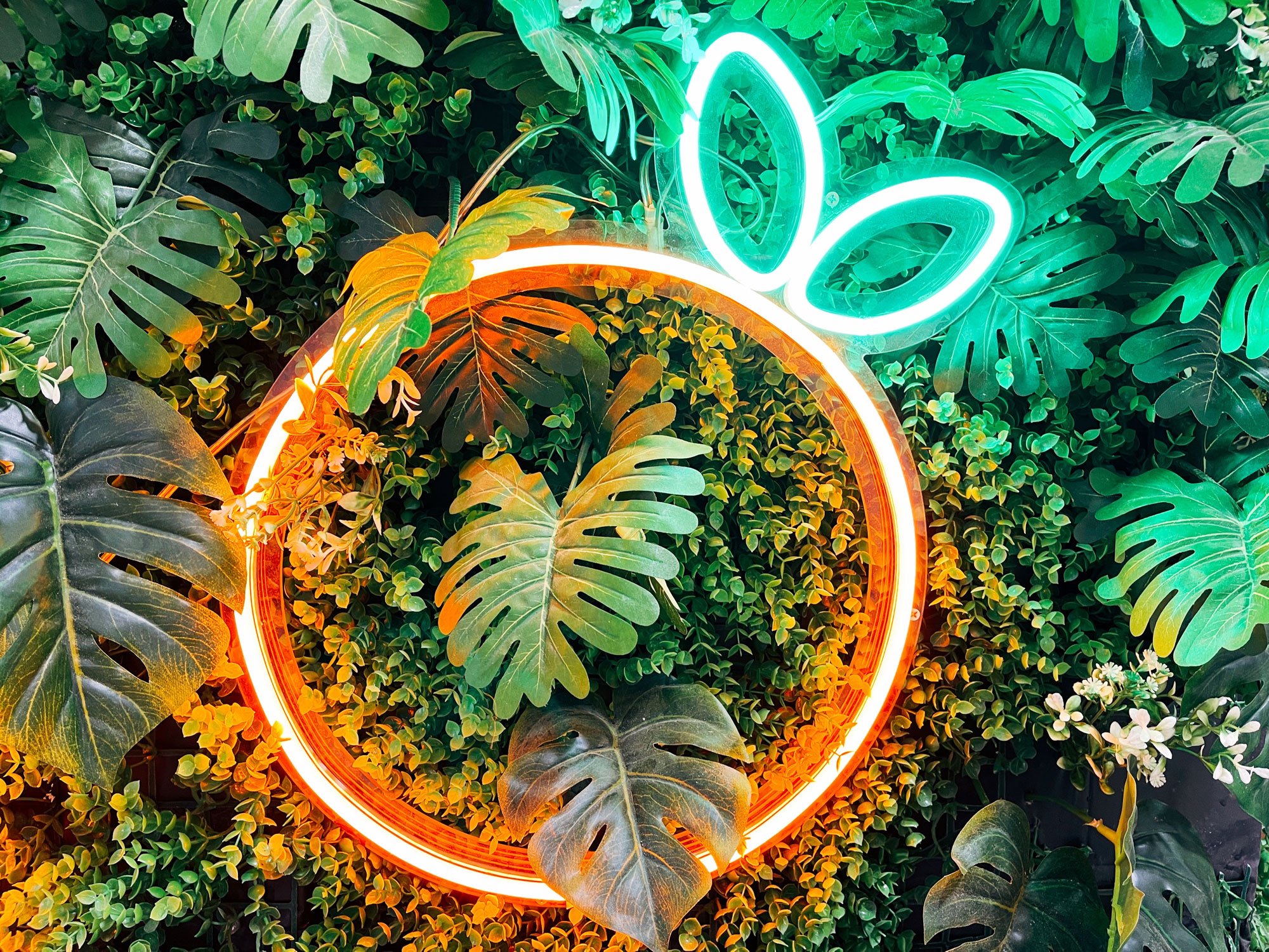 Orange Neon Wall Art - Superior Custom LED Neon Light Signs | Mr & Mrs Neon